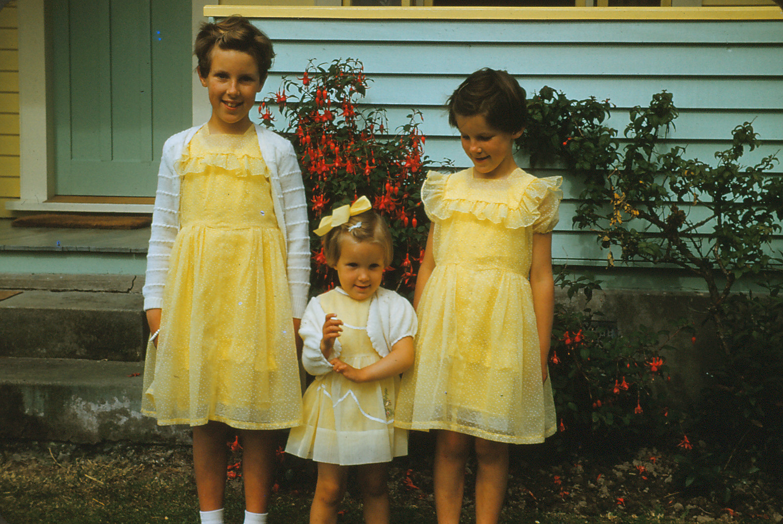 Steve's Homepage - About Me